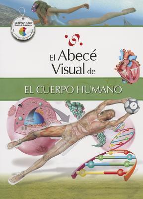 📚 Comprar « El abecé visual del cuerpo humano (colección abecé visual ...